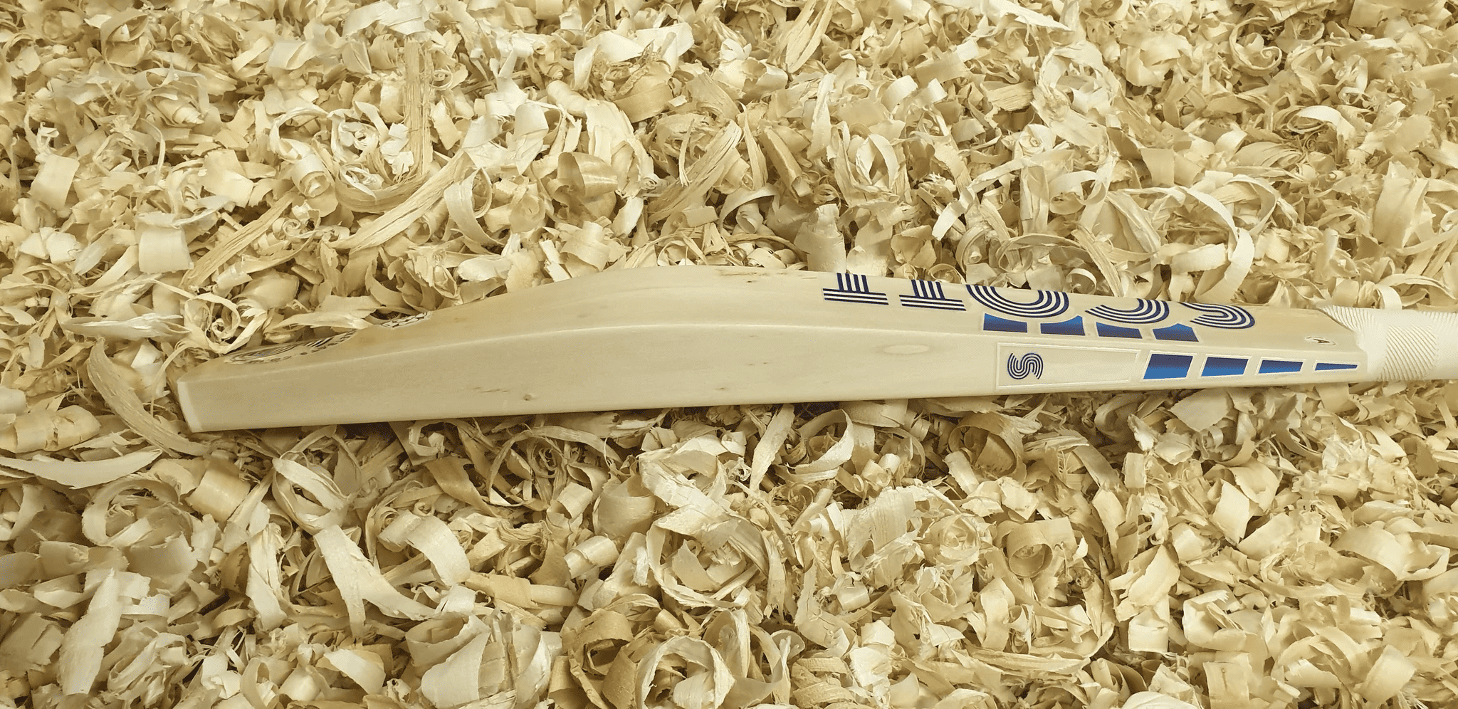 Best Cricket Bats for 2024: A Cricketers Guide - All Out Cricket